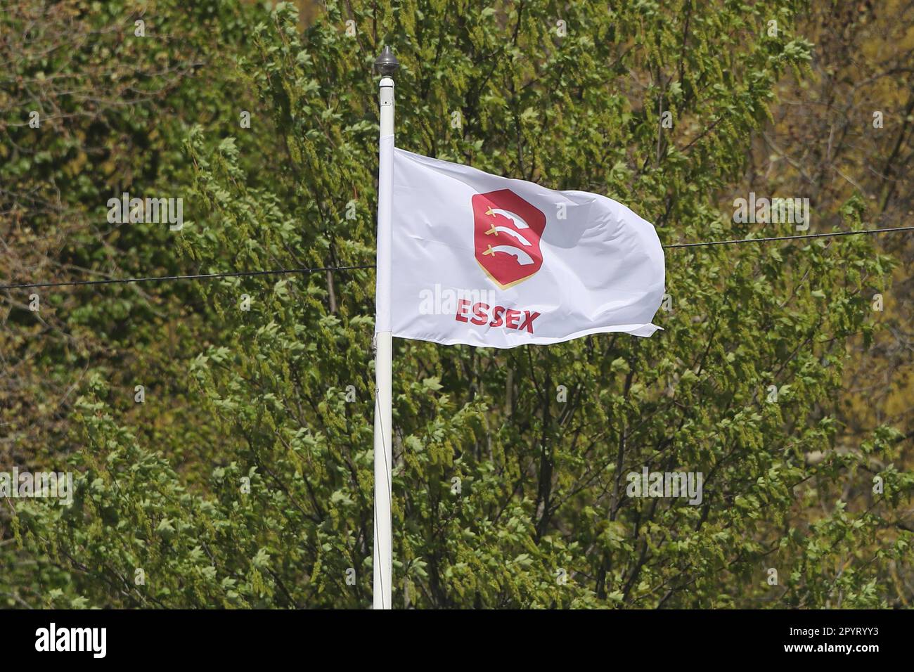 The Essex flag flies during Essex CCC vs Surrey CCC, LV Insurance ...