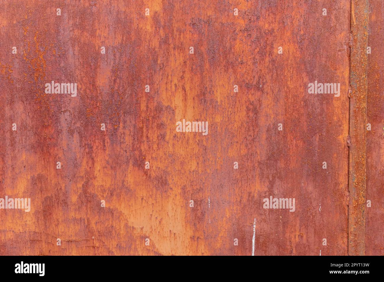 detail of the texture of an antique rusty metallic door painted red ...