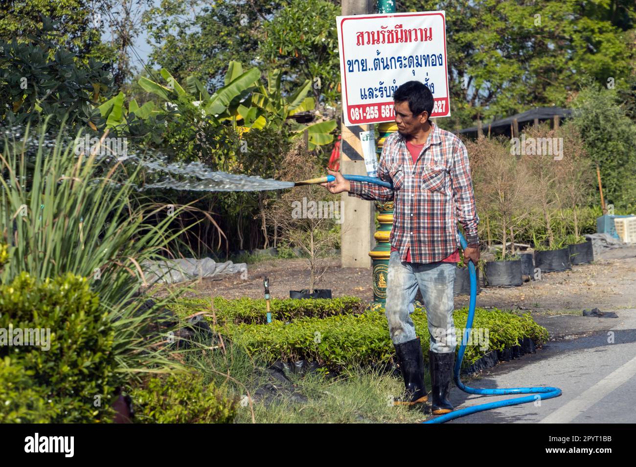BANGKOK, THAILAND, JAN 21 2023, Man is watering plants in roadside ...