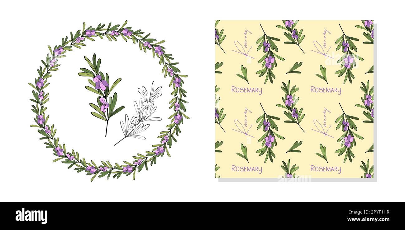Rosemary Wreath Illustration