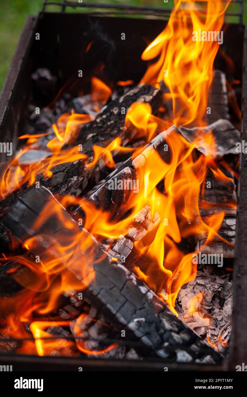 The firewood in the grill burns with a bright orange flame. Preparation ...