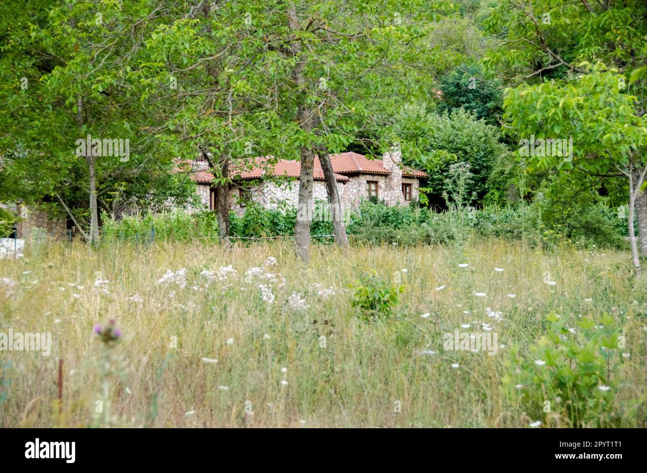 Farm house in Zarouhla village. Acahia, Greece. Greek nature landscapes ...