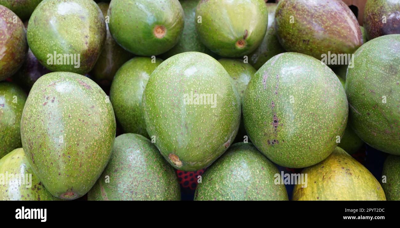 Big avocado hi-res stock photography and images - Alamy