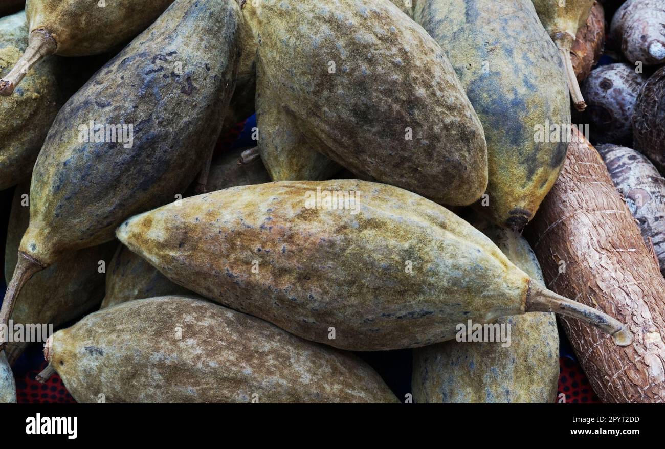 fresh baobab fruit as new natural food Stock Photo - Alamy
