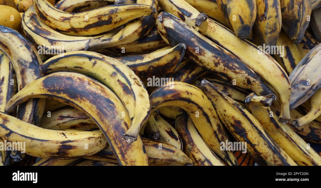 banana fruits from africa as nice food background Stock Photo - Alamy