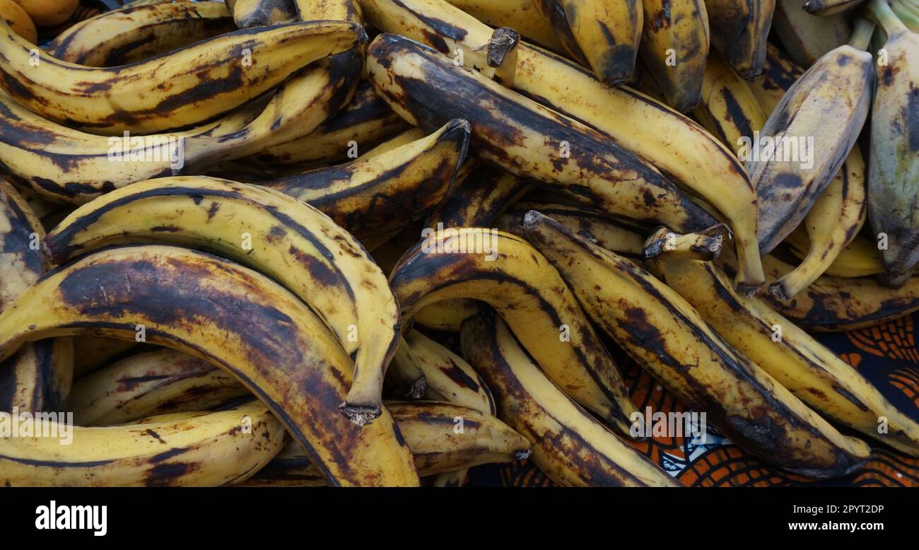 banana fruits from africa as nice food background Stock Photo - Alamy