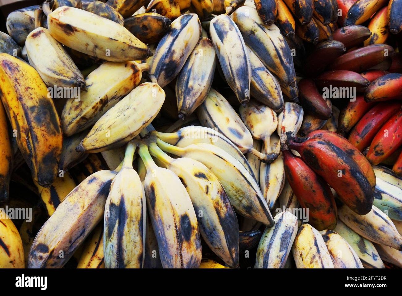 banana fruits from africa as nice food background Stock Photo - Alamy