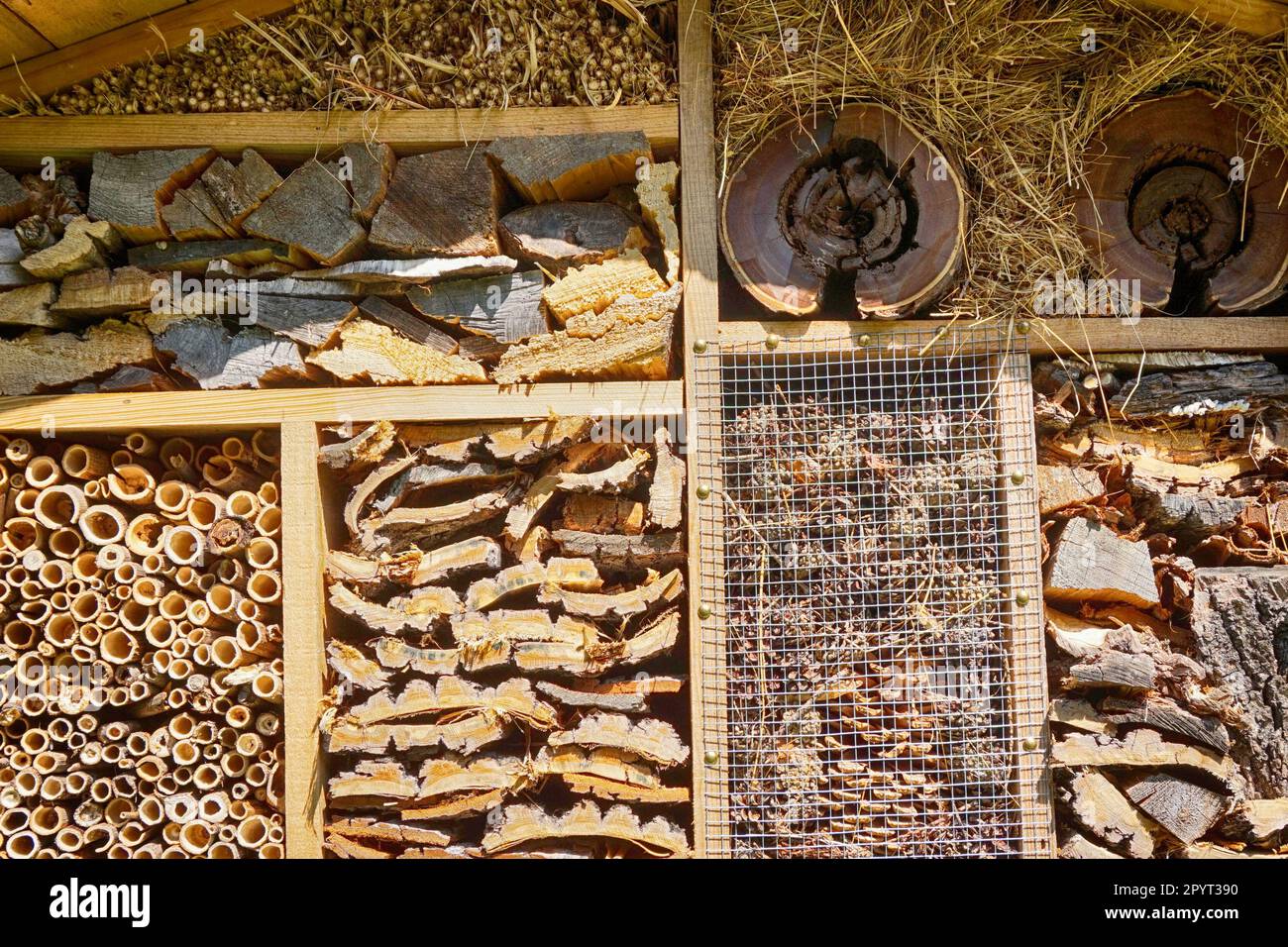 detail of insect hotel as nice texture Stock Photo - Alamy