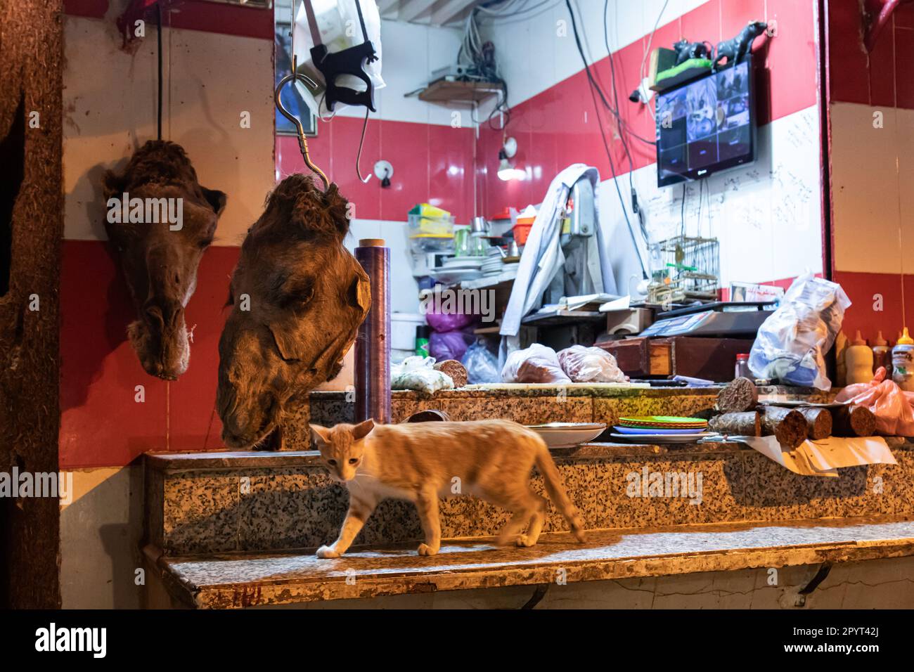 Fez, Morocco 2022: night view of historical and traditional narrow ...