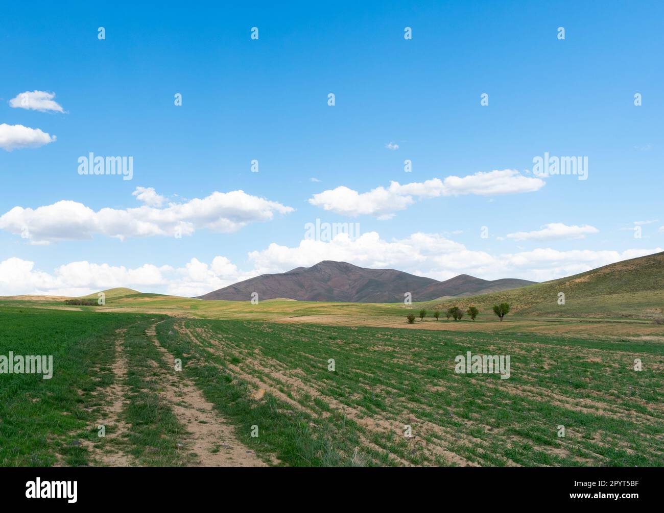 cloudy day in spring around the mountain Stock Photo - Alamy