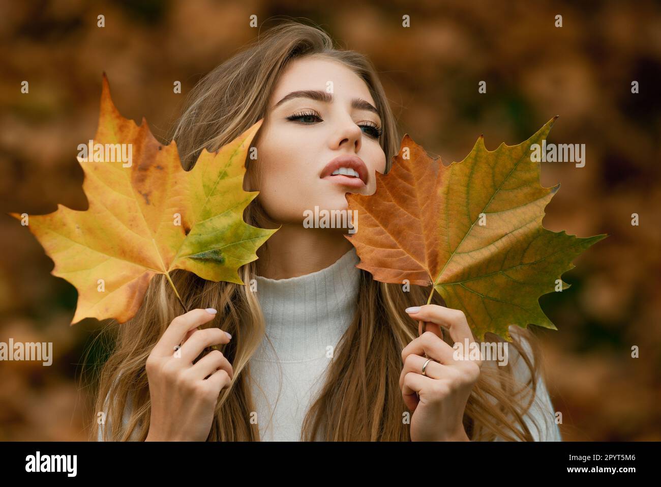 Outdoor fashion photo of young beautiful lady on autumn leaves Stock ...