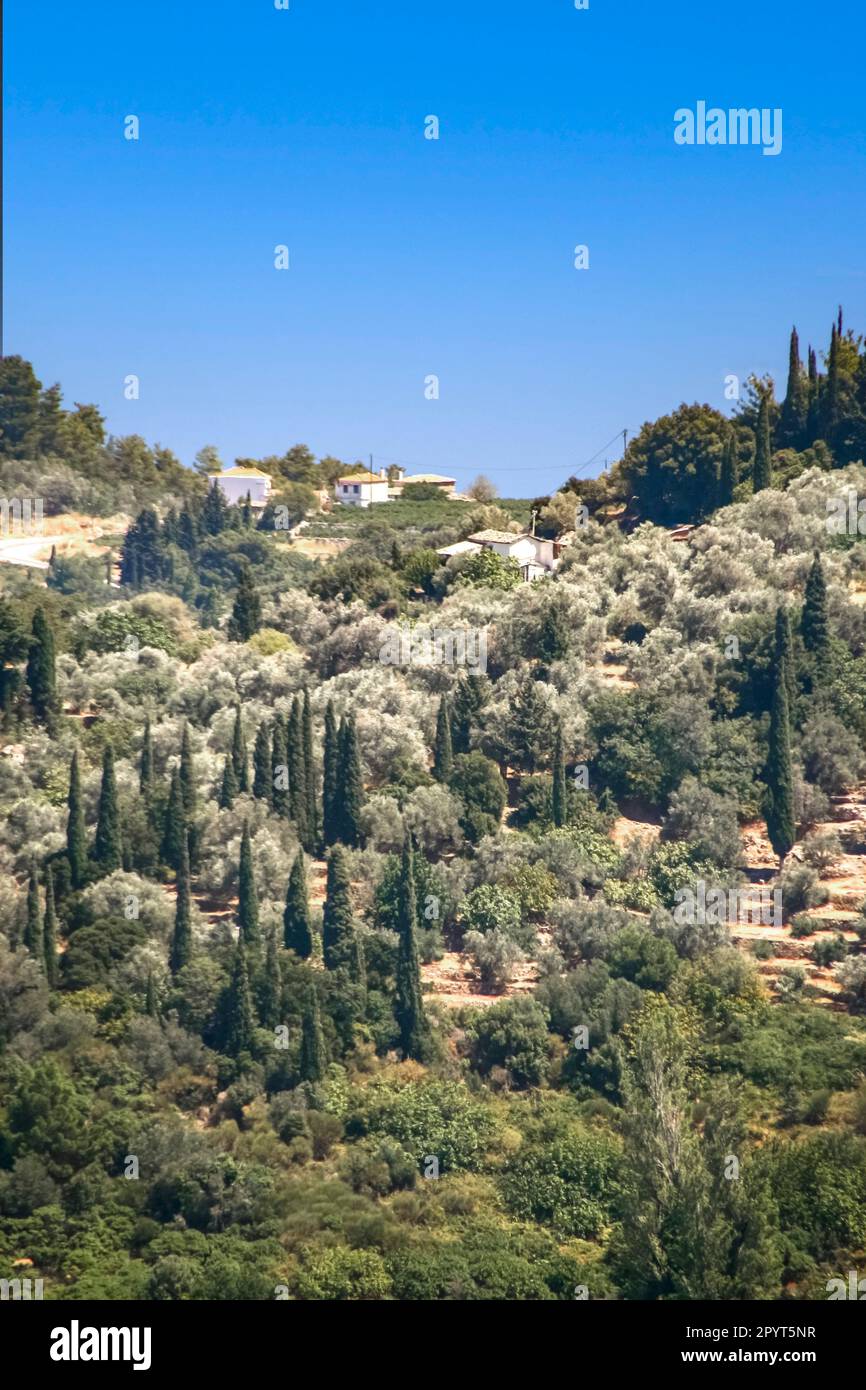Mediterranean typical landscape. mountainous agriculture hill and ...