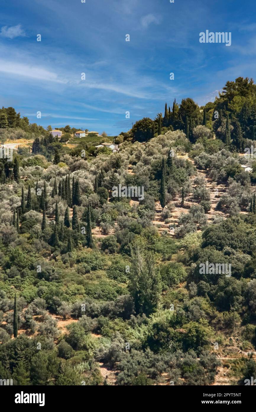 Mediterranean typical landscape. mountainous agriculture hill and ...