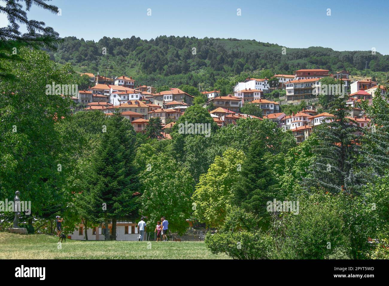 The houses in metsovo greek village hi-res stock photography and images ...