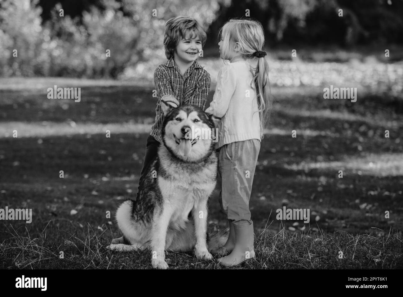 Funny Children brother and sister and dog together in park. Child 5 ...