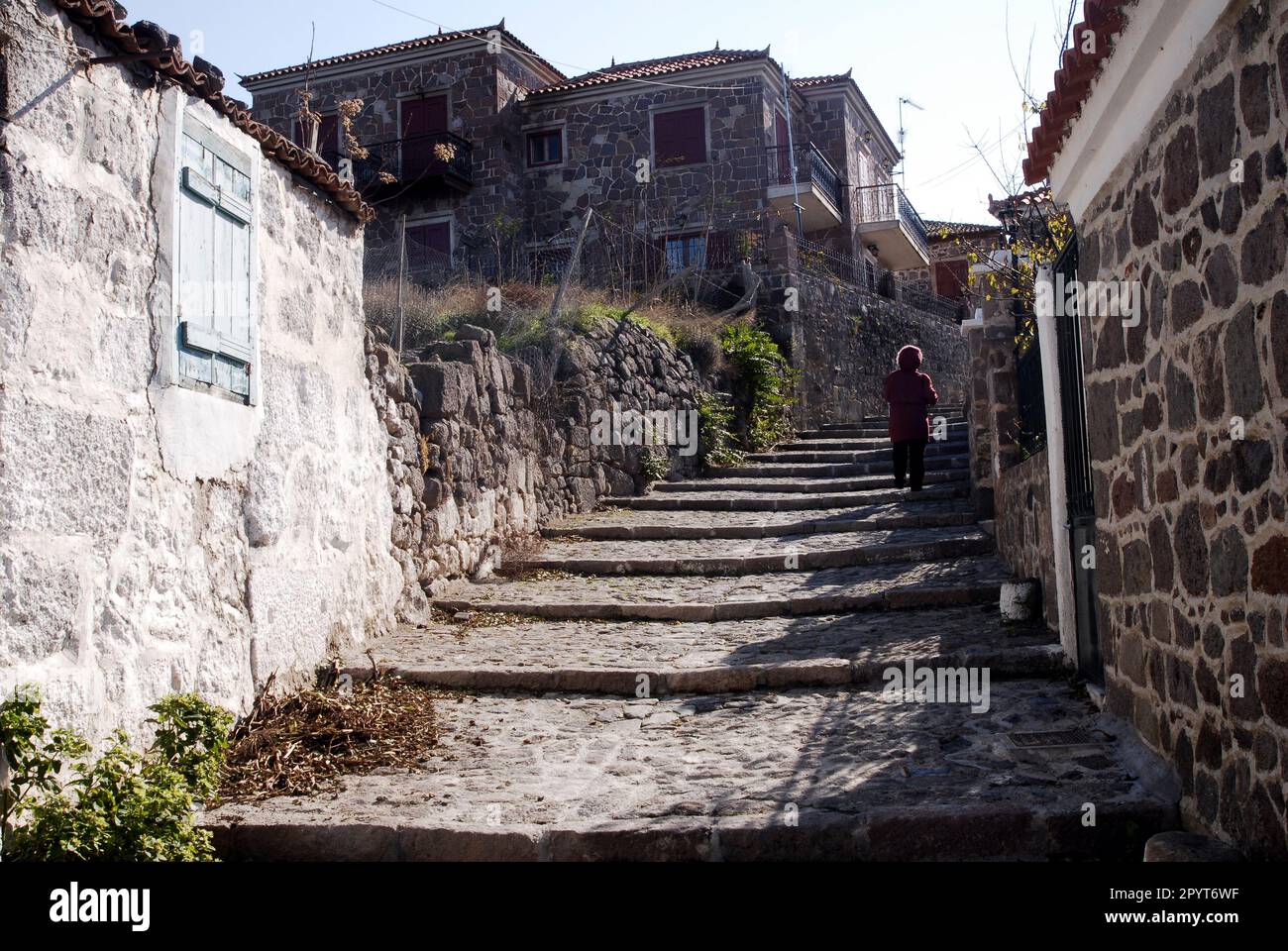 Greece, Northeastern Aegean, Lesvos island Molyvos town and castle ...