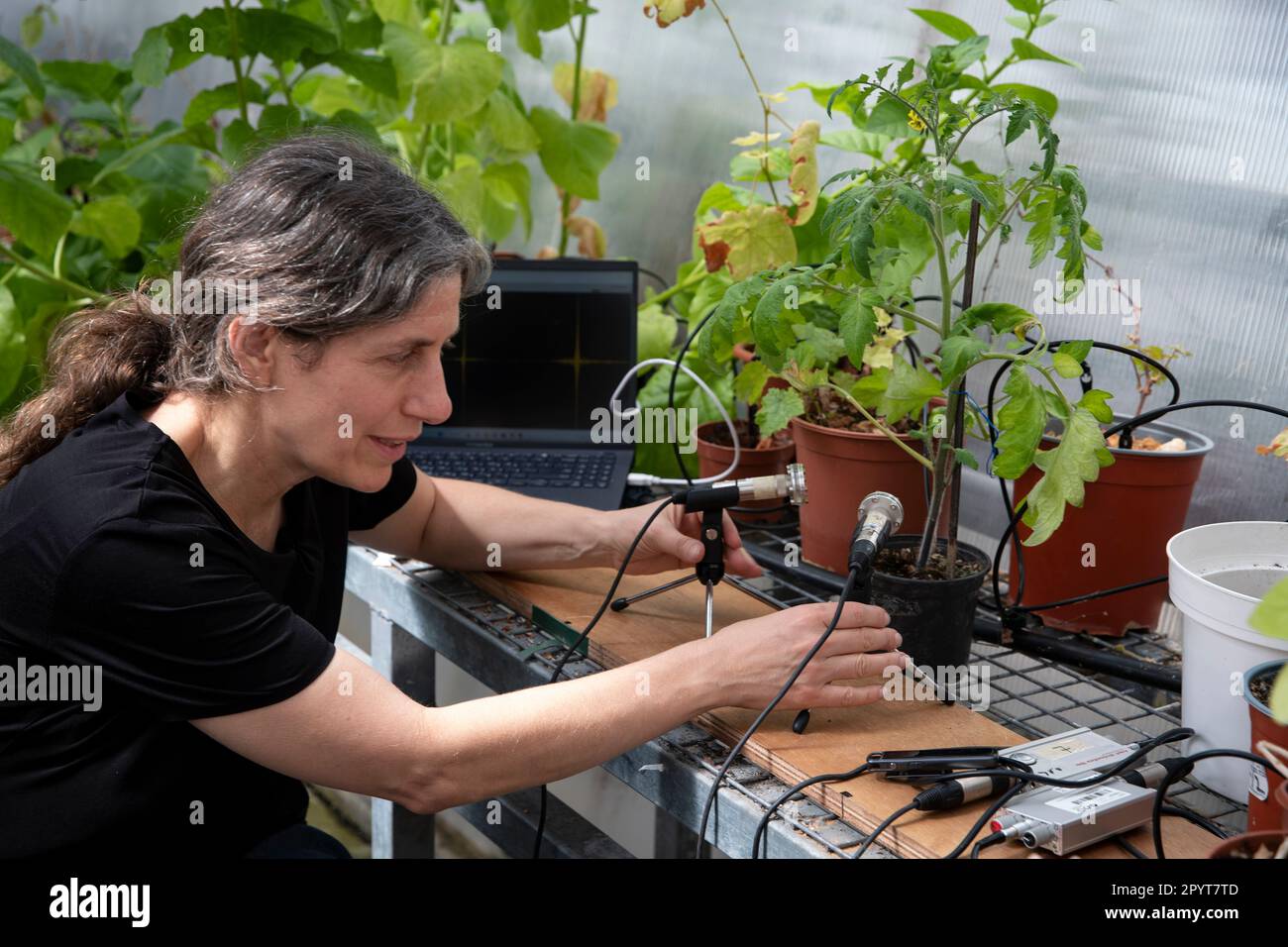 Lilach hadany hi-res stock photography and images - Alamy