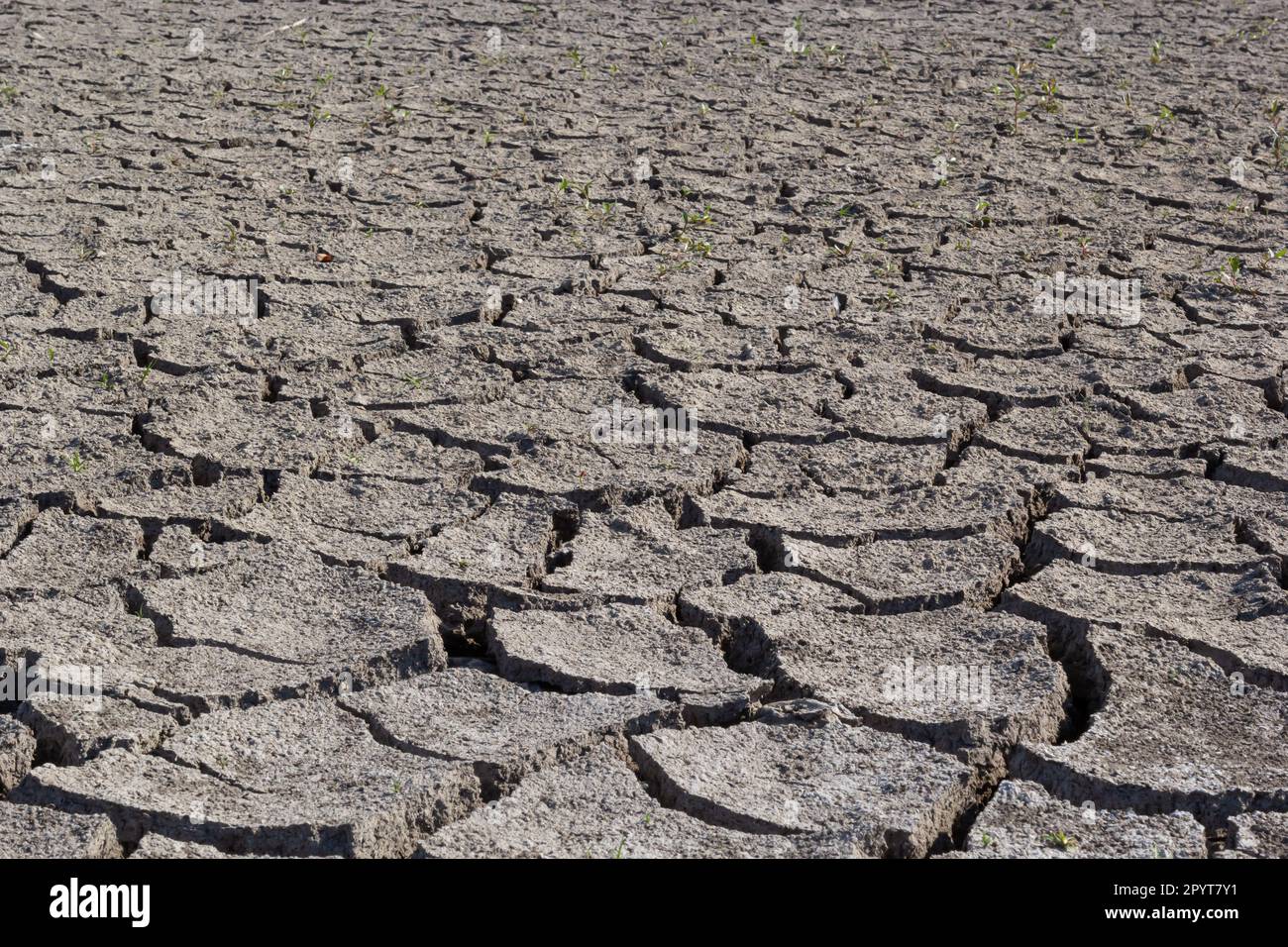 dry land in the dry season Drought, ground cracks, no hot water. Lack ...