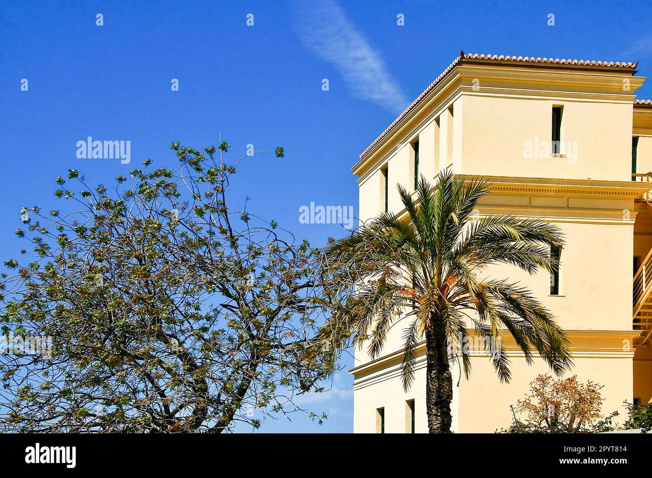 palm trees in front of a neoclassical building at Spetses island in ...