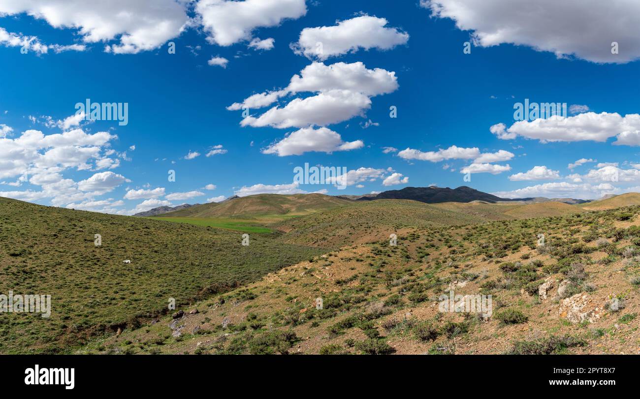 Goodnight spring hi-res stock photography and images - Alamy