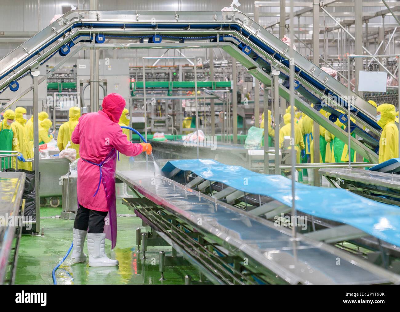 High pressure water spray cleanning conveyor belt in chicken parts ...