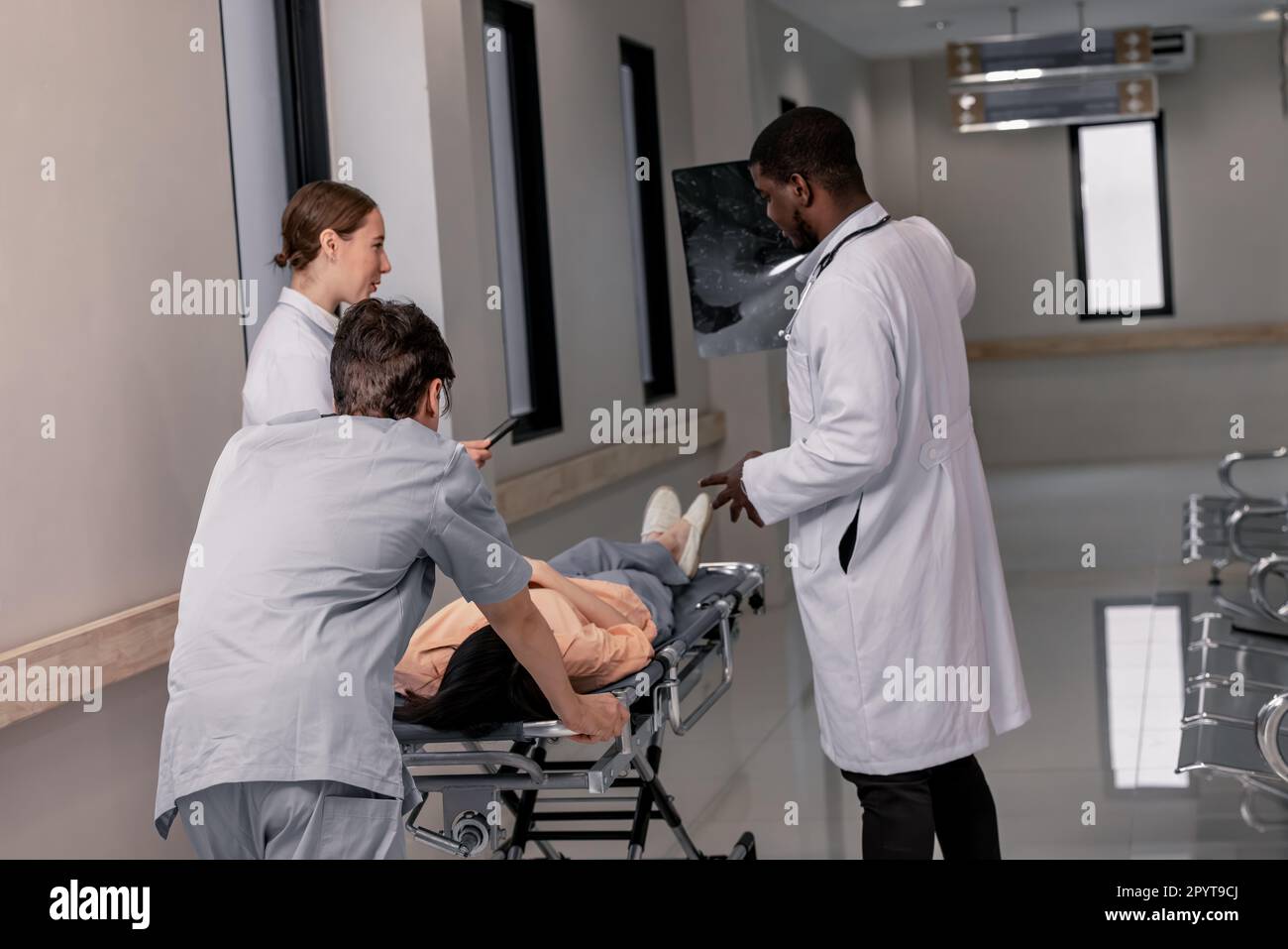 Physician and radiologist analyze medical images, including MRI film ...