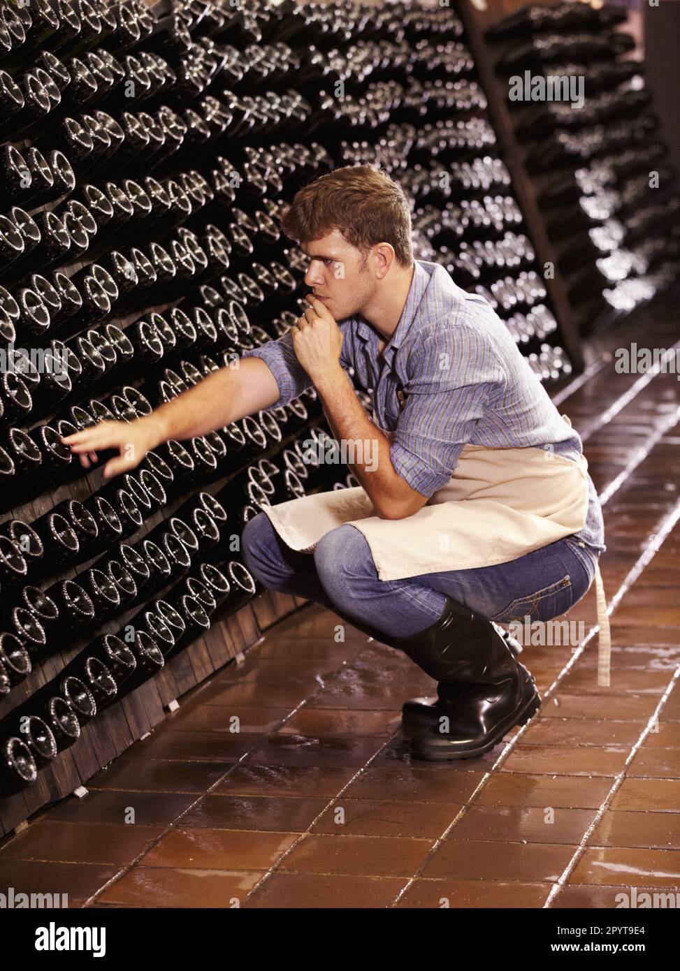 Winery, man and counting bottles of wine in cellar, warehouse or ...