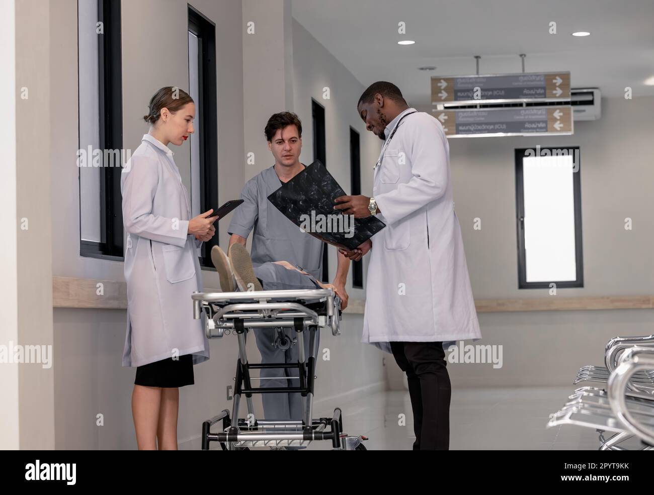 Physician and radiologist analyze medical images, including MRI film ...