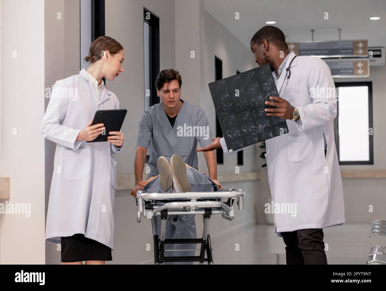 Physician and radiologist analyze medical images, including MRI film ...