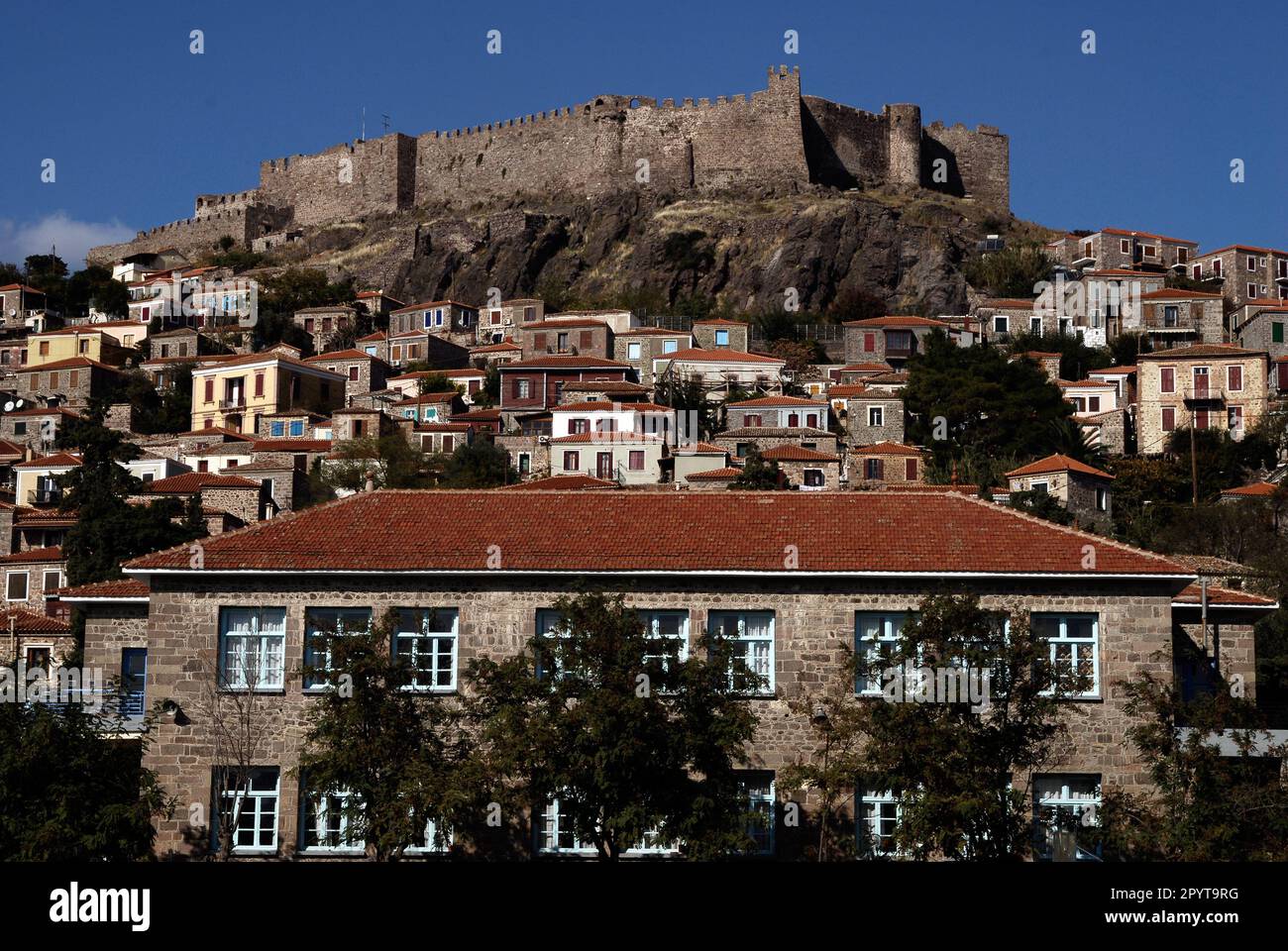 Greece, Northeastern Aegean, Lesvos island Molyvos town and castle ...