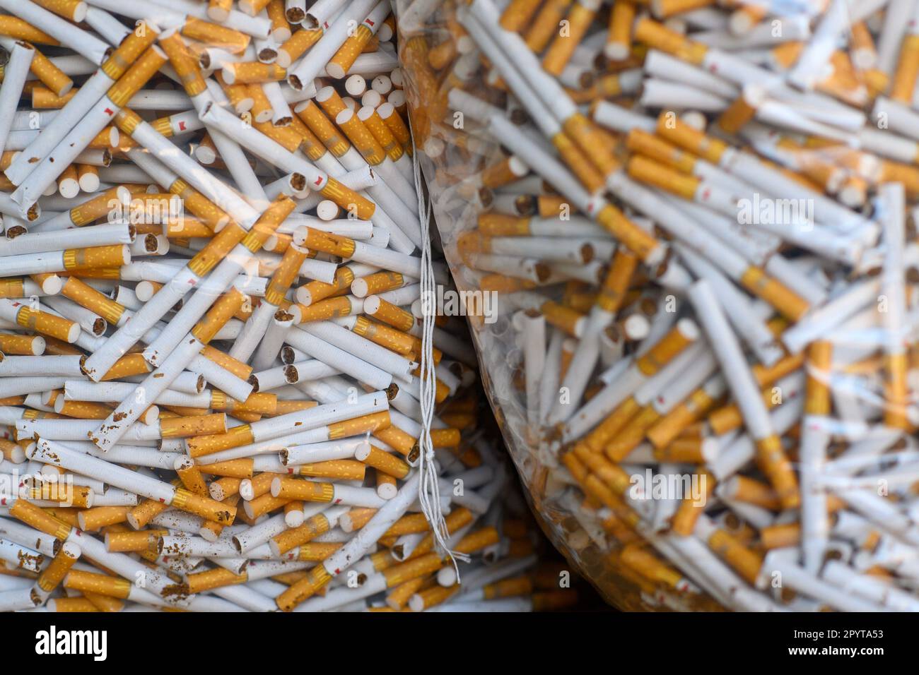 Magdeburg, Germany. 21st Apr, 2023. Confiscated cigarettes in bags at ...