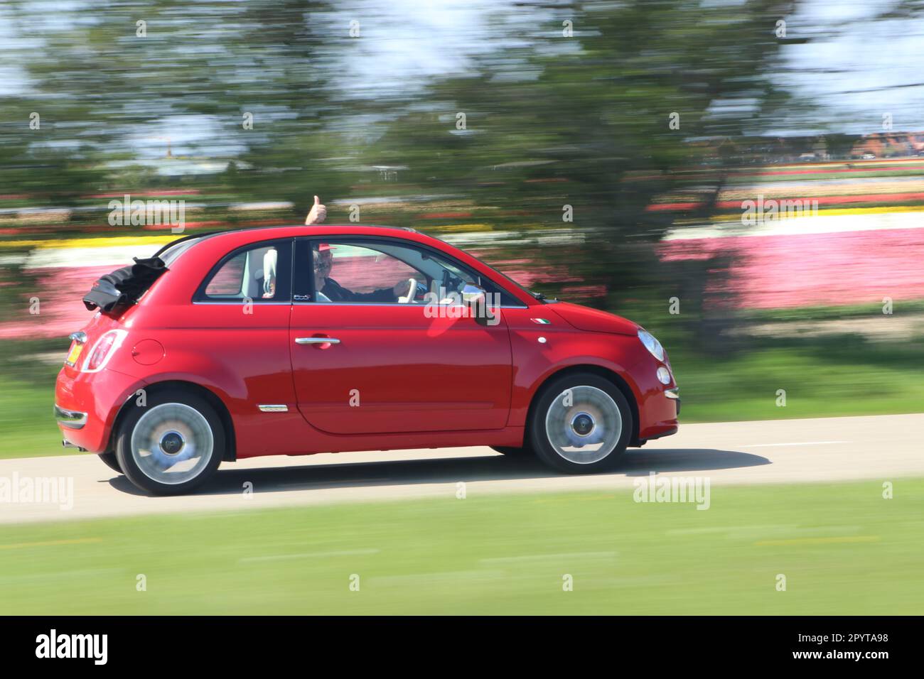 red Fiat 500 C car driving by in dutch landscape in Julianadorp, the ...