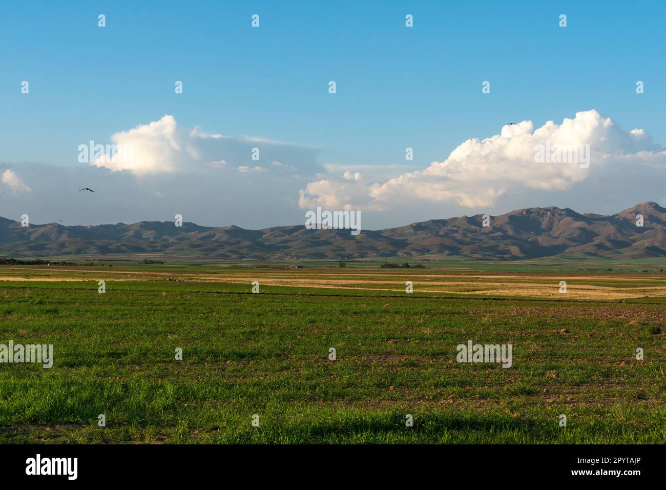 A landscape of nature on a cloudy spring day including mountains and ...