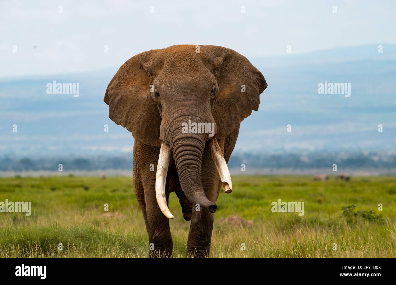 African farmers seeds hi-res stock photography and images - Alamy