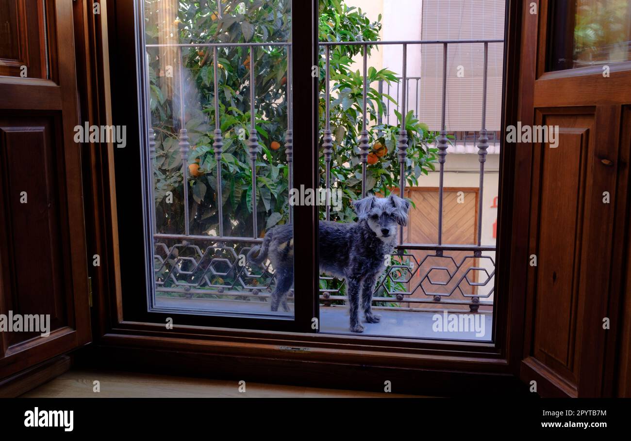 Granada city scenes hi-res stock photography and images - Alamy
