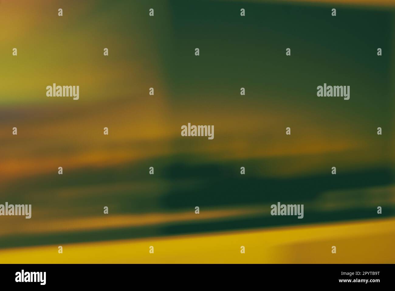 Brooklyn Neighborhood Street Photography of Nature in Urban Jungle of ...