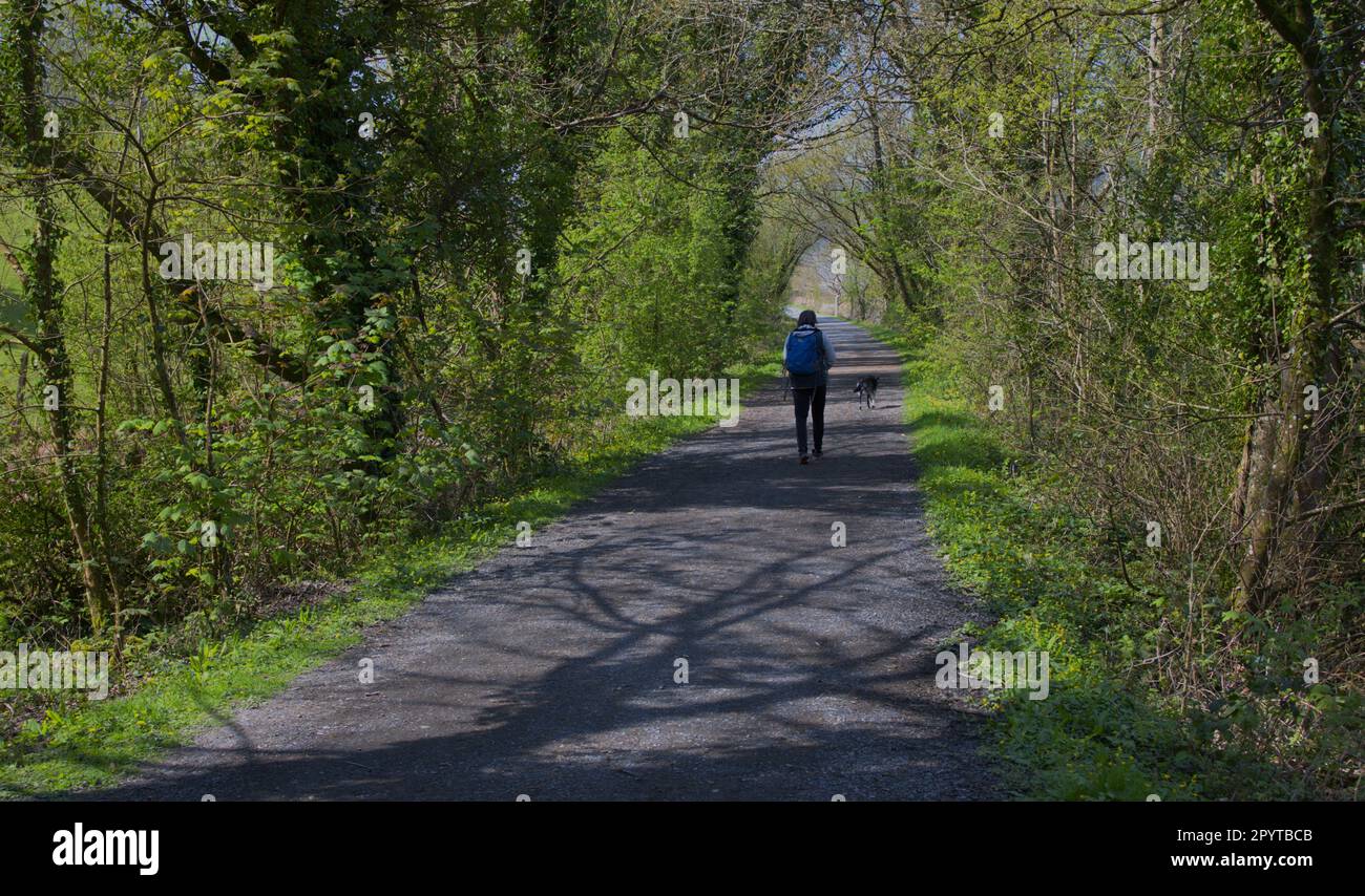 Mawddach trail and cycling hi-res stock photography and images - Alamy