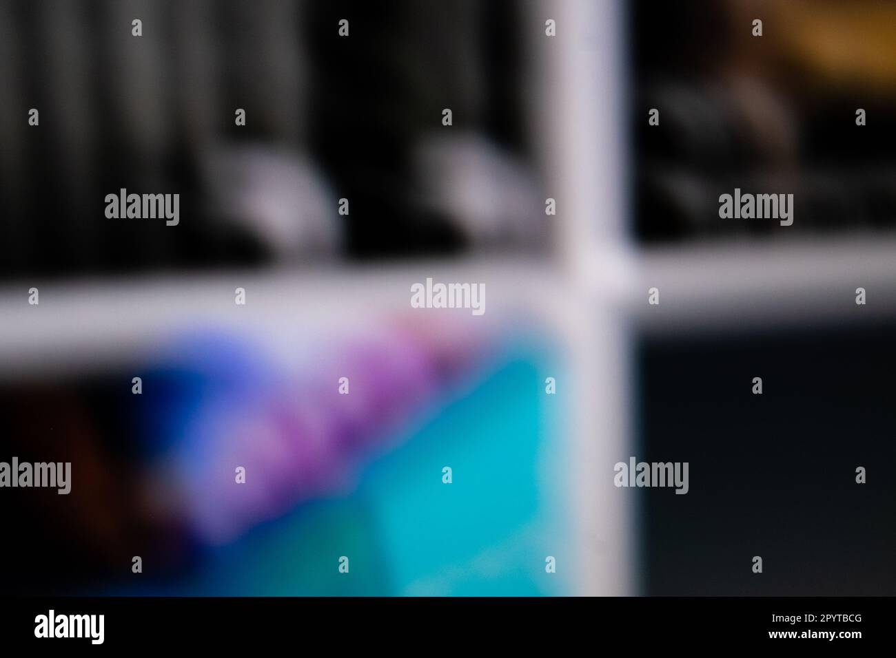 Brooklyn Neighborhood Street Photography of Nature in Urban Jungle of ...