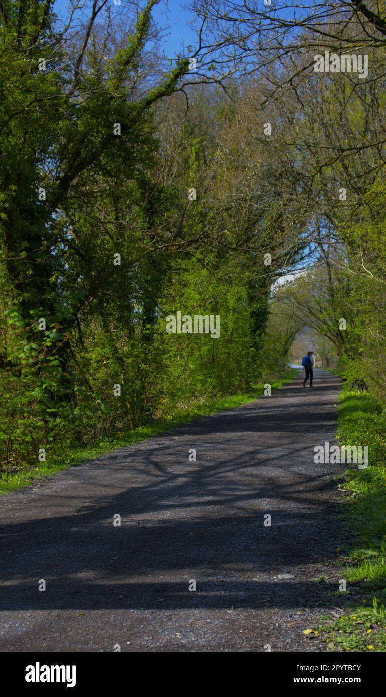 The Mawddach Estuary Trail in Snowdonia Stock Photo - Alamy