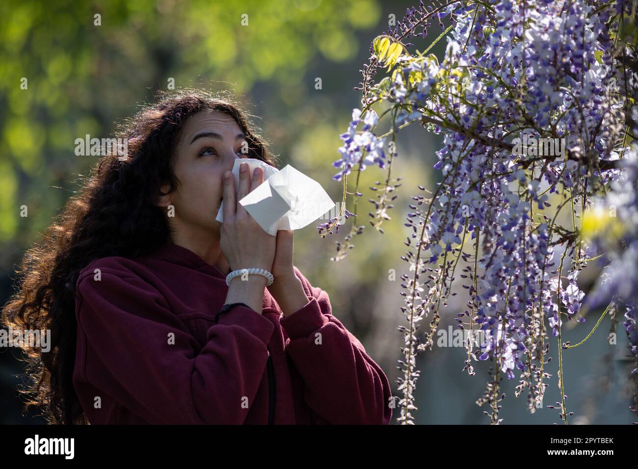 Pretty young woman blowing nose in front of blue rain tree with flowers ...
