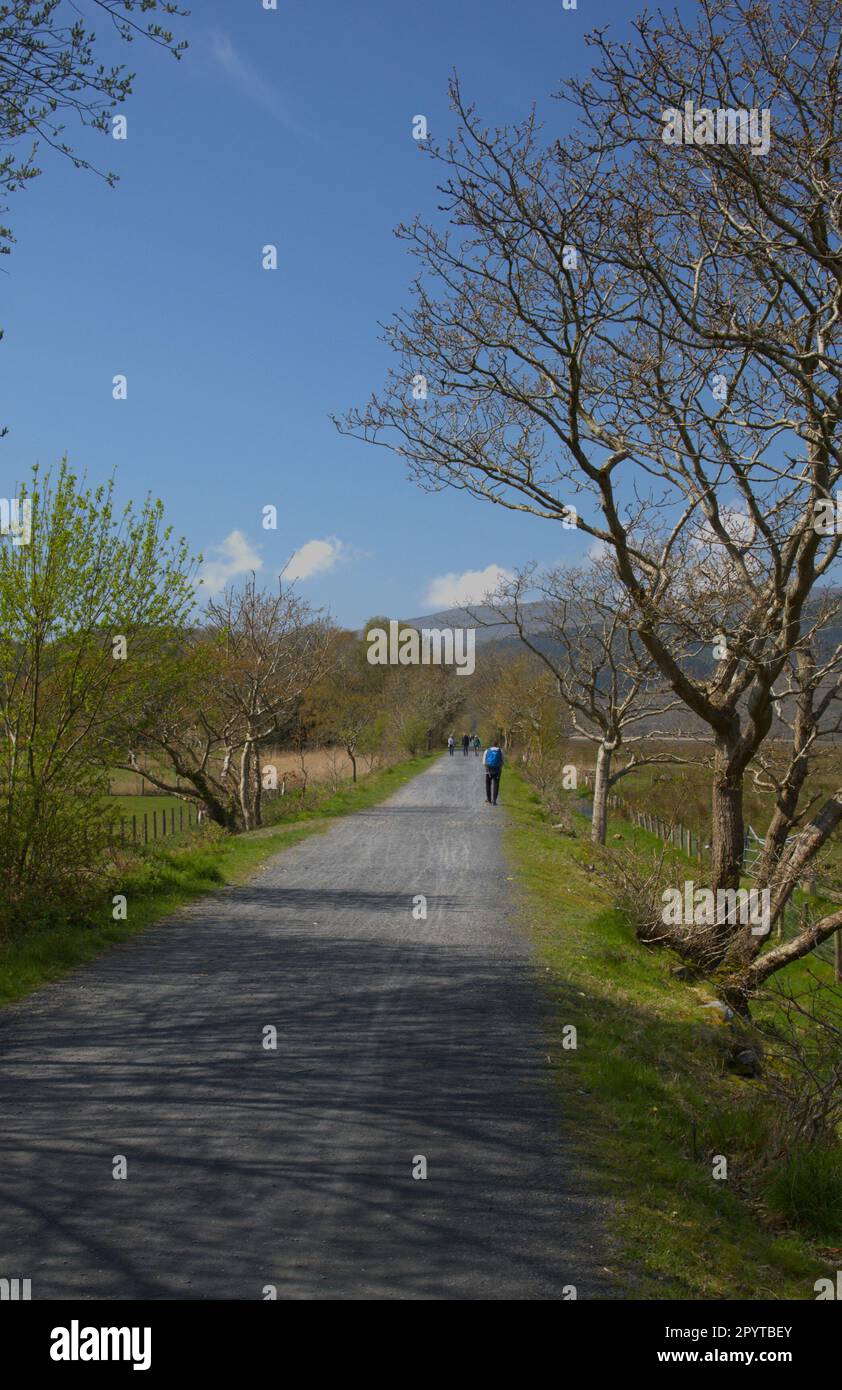 The Mawddach Estuary Trail in Snowdonia Stock Photo - Alamy