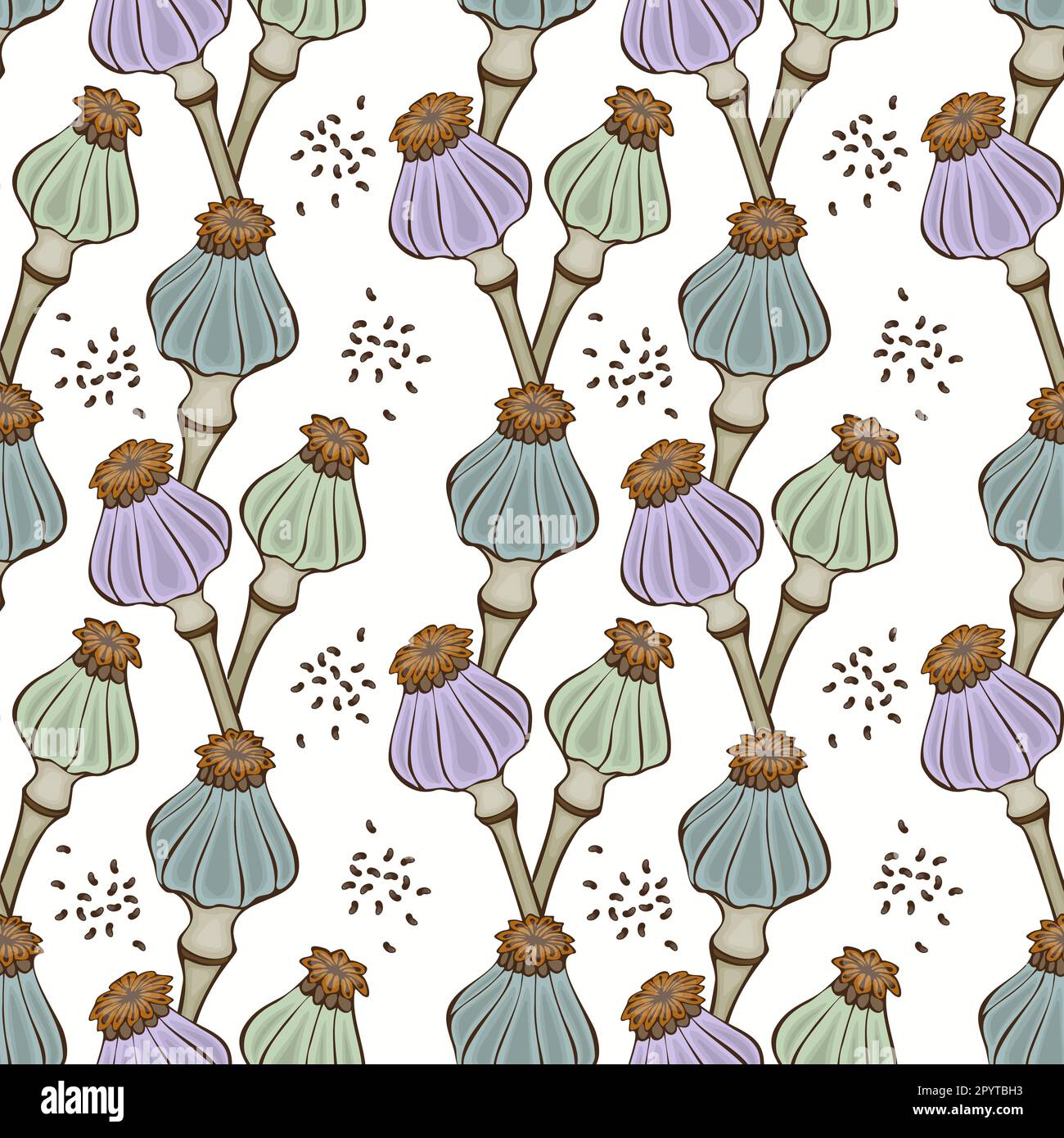 Poppy pods with seeds pattern, hand drawn doodle. Vector illustration ...