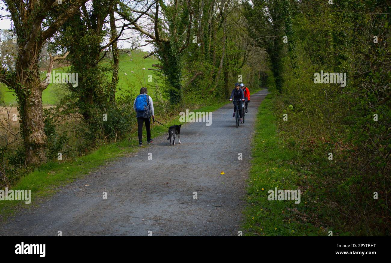 The Mawddach Estuary Trail in Snowdonia Stock Photo - Alamy