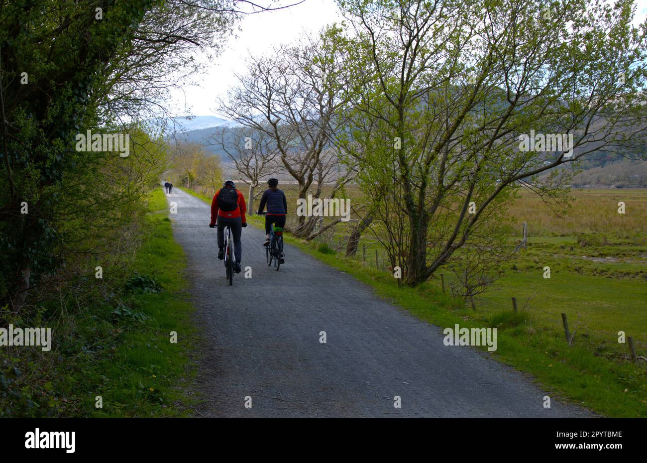 The Mawddach Estuary Trail in Snowdonia Stock Photo - Alamy