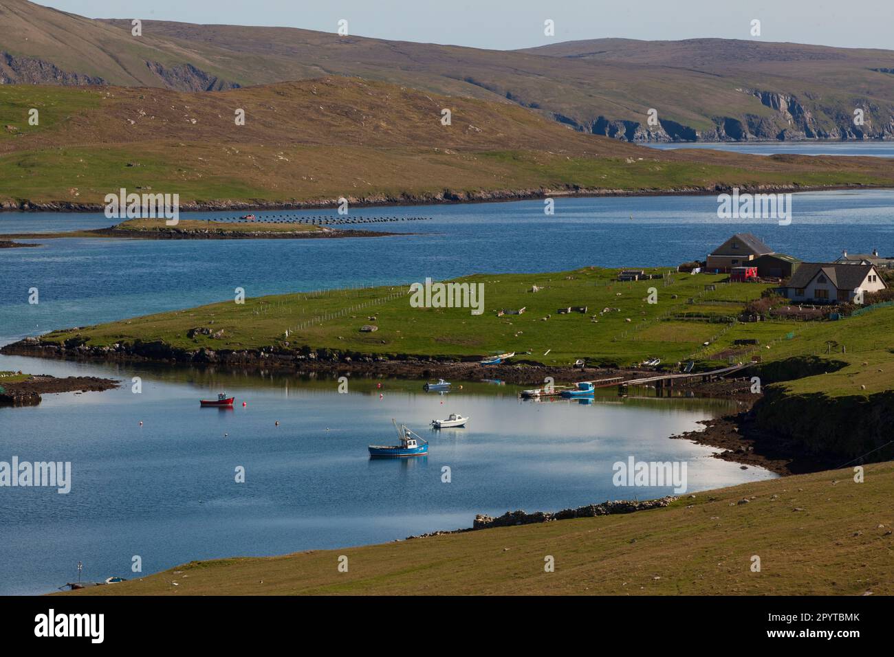 Shetland Voe with fishing boats Stock Photo - Alamy