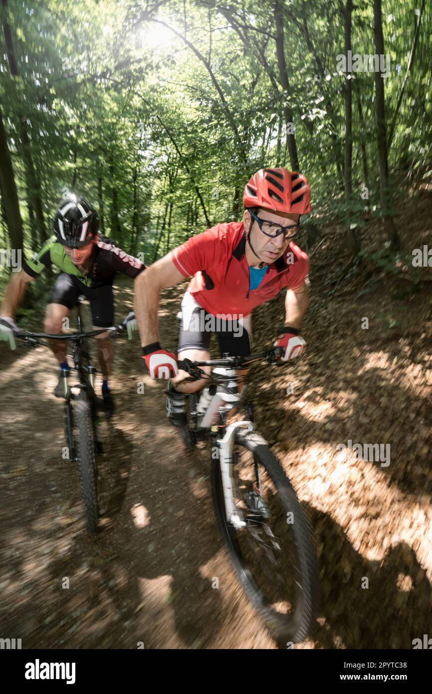Mountain bikers riding on track through forest, Bavaria, Germany Stock ...