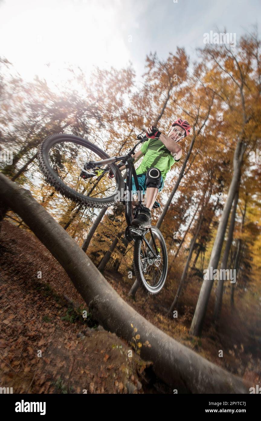 Mountain biker jumps over a tree trunk in forest, Bavaria, Germany ...
