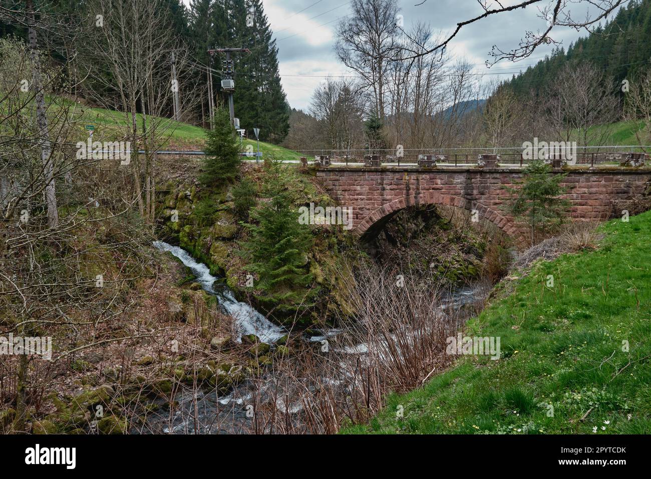 A bright blue river flowing through a forest as the sun begins to set ...