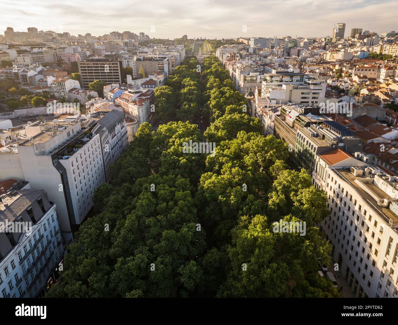 Lisboa avenida da liberdade hi-res stock photography and images - Alamy