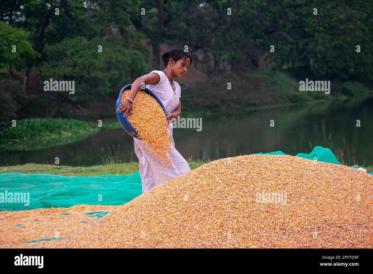 Corn economy hi-res stock photography and images - Alamy